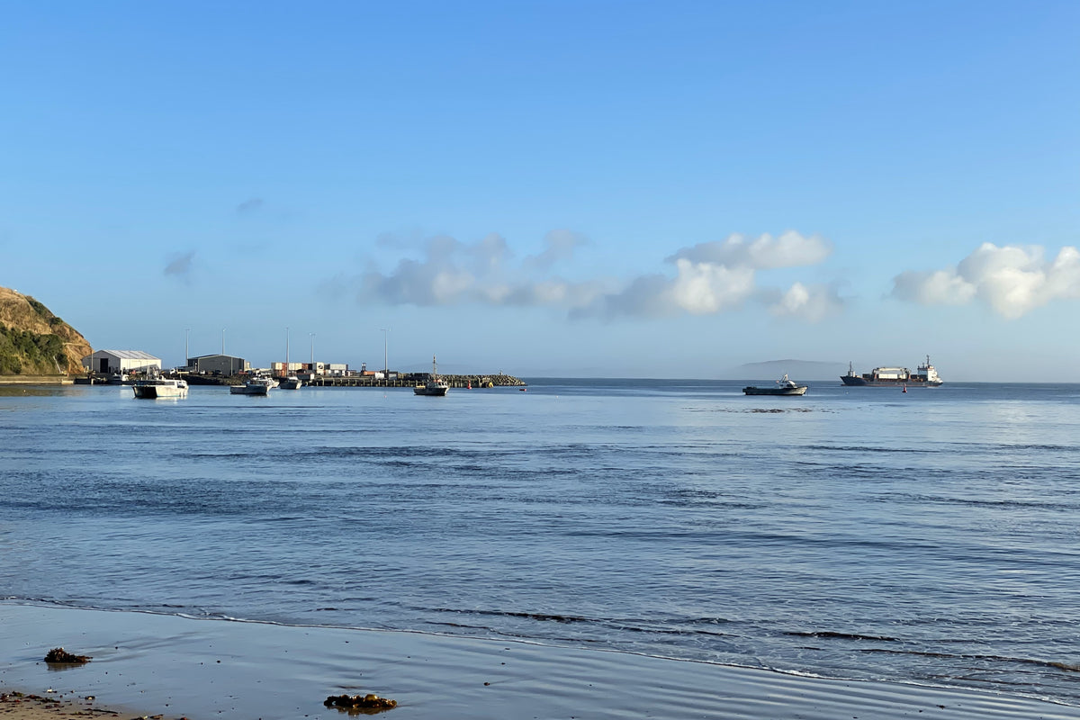 Chatham Islands Visit | February 2024 – SPS Biota