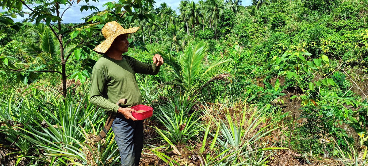 The Story of Resilience & Hope - Philippines – SPS Biota