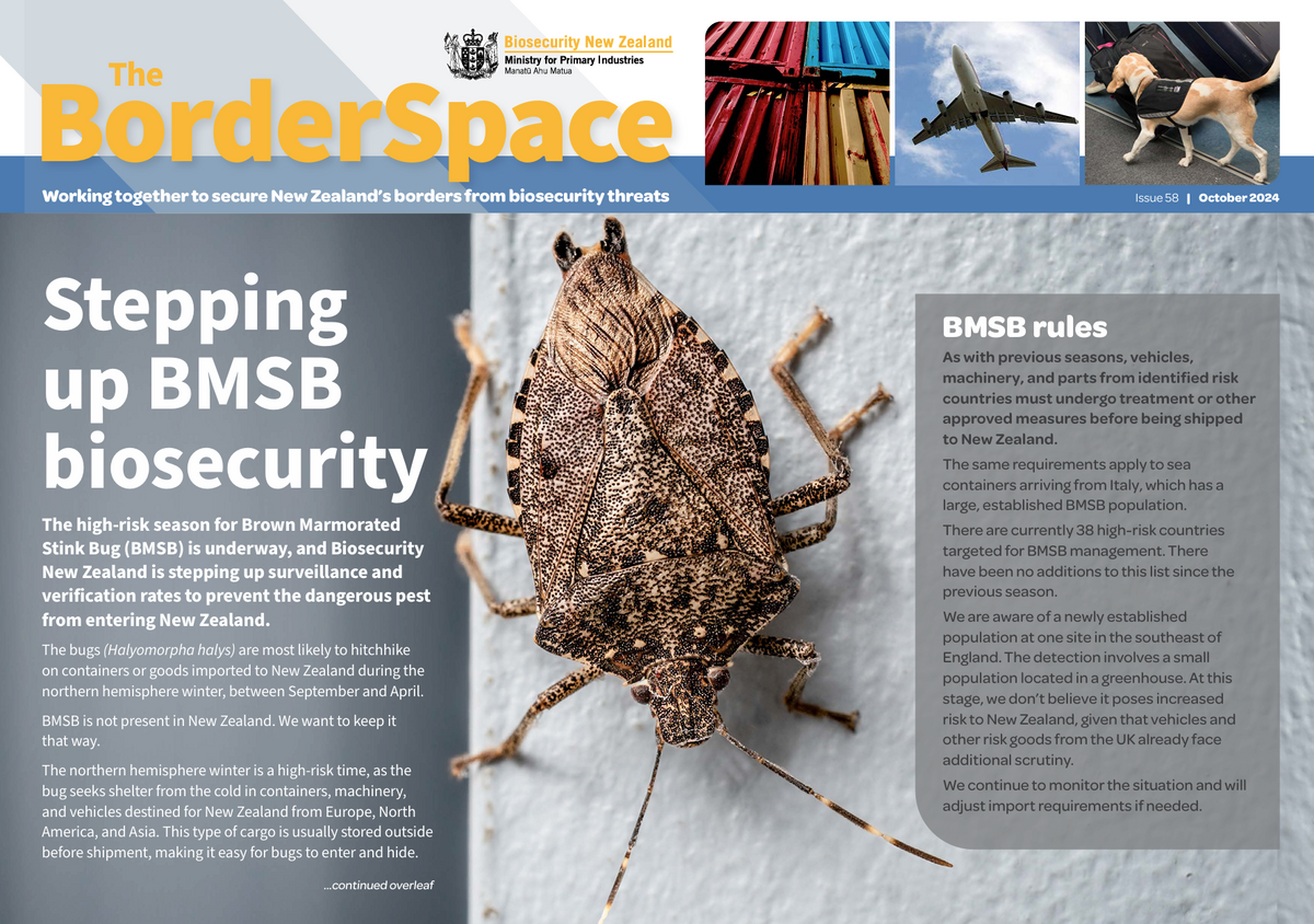 NEW Border Space Newsletter - October 2024 – SPS Biota