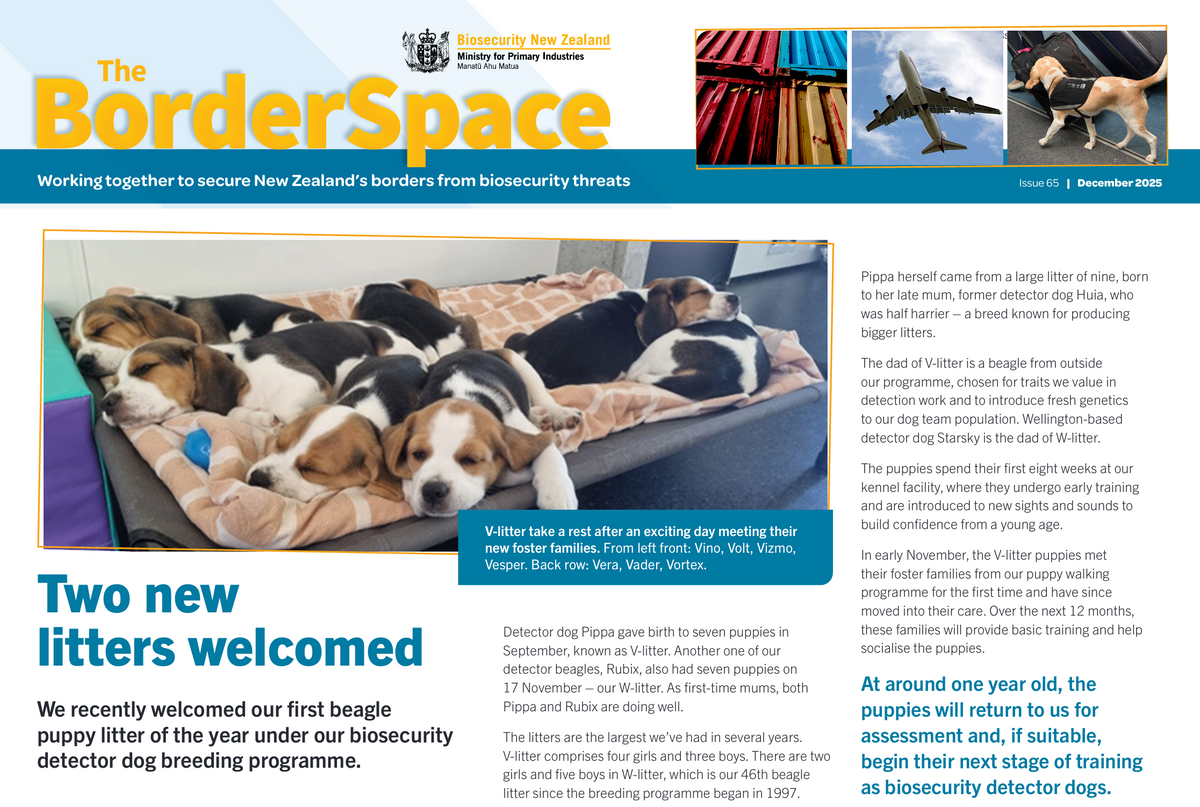 NEW Border Space Newsletter - December 2025 – SPS Biota